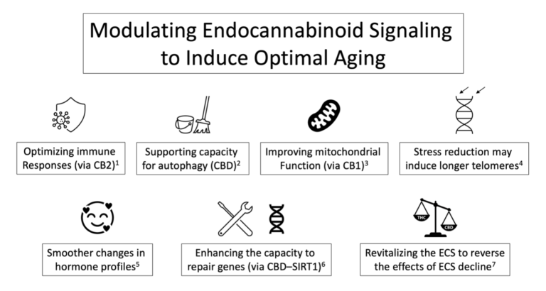 New Pathways to Longevity - Cannakeys