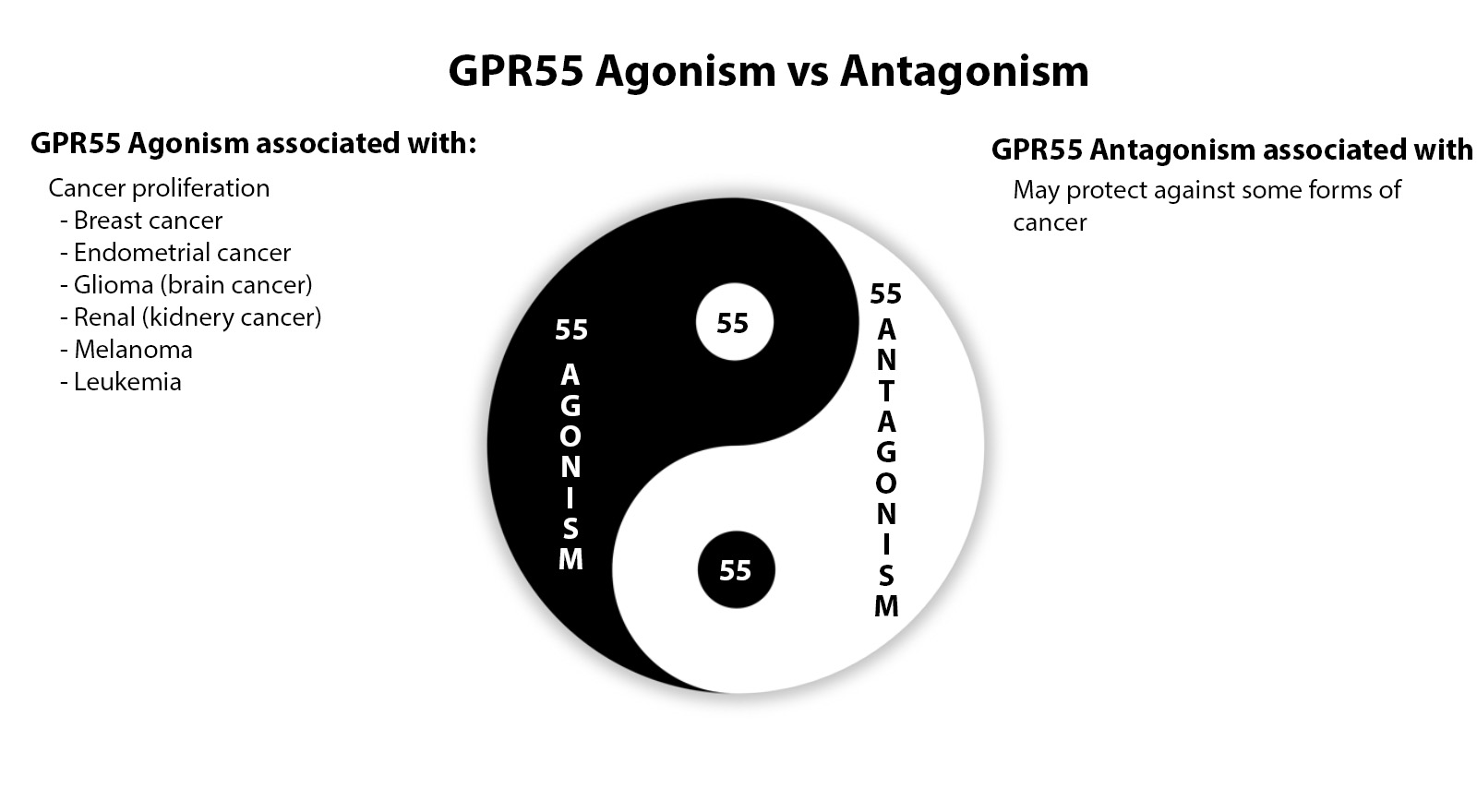 GPR55 Agonism - Cannakeys