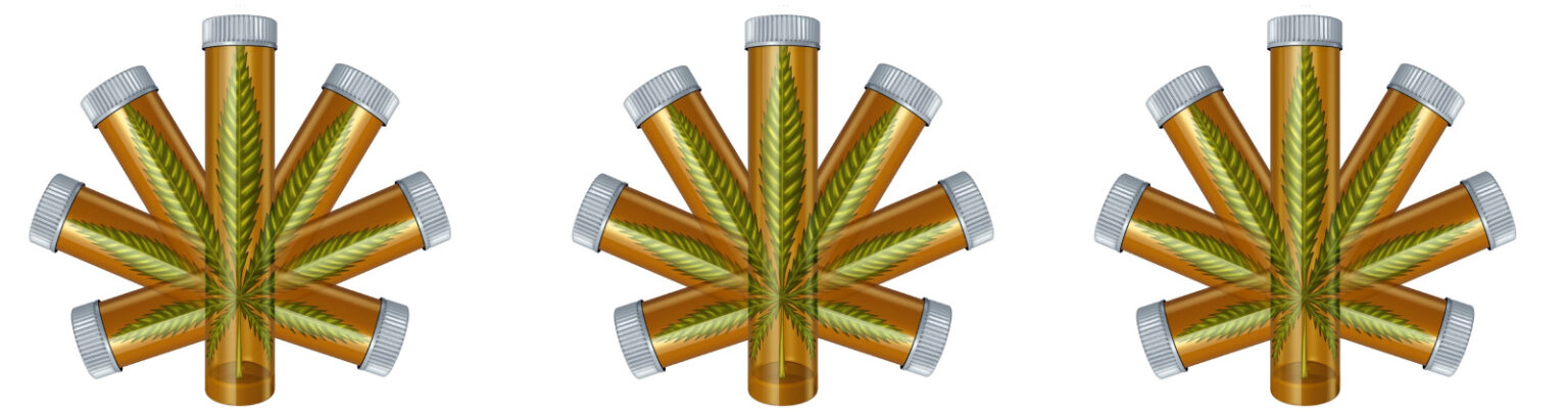 Understanding Medical Marijuana Possession Limits - Cannakeys